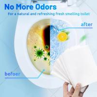 China 9.45x6.3 Inch Quick-Dissolve Toilet Bowl Cleaner Strips - Eco-Friendly & Septic Safe for sale