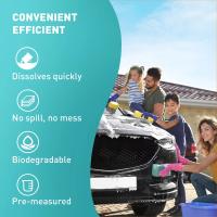 China ODM OEM Biodegradable Car Detergent Sheets 9.45x6.3 Inches - Eco-Friendly Cleaning Solution for sale