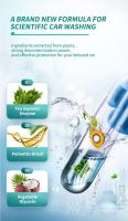 China ODM OEM Biodegradable Car Detergent Sheets 9.45x6.3 Inches - Eco-Friendly Cleaning Solution for sale
