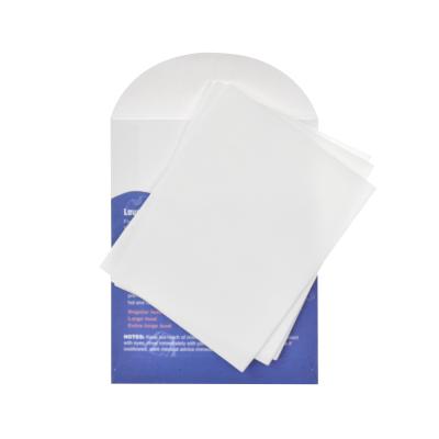 China Strong Cleansing Zero Plastic Laundry Detergent Sheets  Eco Friendly Detergent Sheets for sale