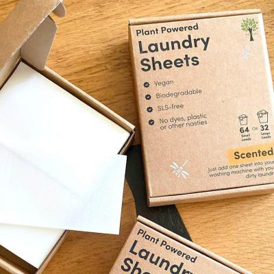 China Biodegradable Deep Cleaning Laundry Detergent Sheets Natural Eco-friendly Long Lasting Fragrance Laundry Soap Sheets for sale