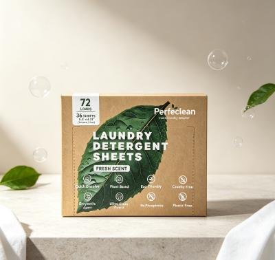 China Plant-Based Biodegradable Laundry Detergent Sheets with 55% Active Ingredient for Sustainable Washing for sale