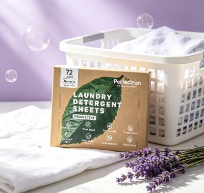 China 100% Plant-Based Biodegradable Laundry Detergent Sheets - Pre-Measured Eco-Friendly Laundry Strips for sale