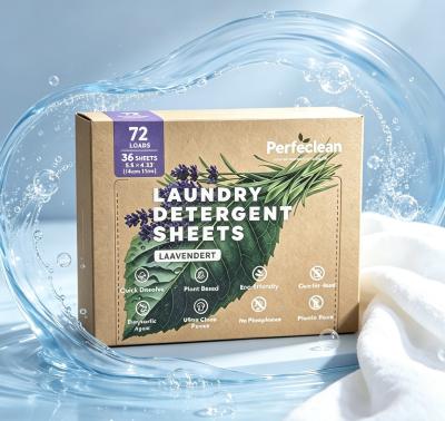 China Non-Toxic Compostable Biodegradable Laundry Detergent Sheets with Plant-Based Surfactant for Eco-Friendly Washing for sale