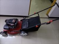 China Hand Pushed Fuel Garden Lawn Mower Machine For Grass Cutting for sale