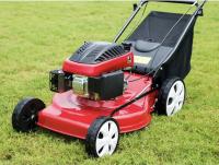China Hand Pushed Fuel Garden Lawn Mower Machine For Grass Cutting for sale