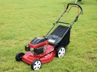 China Hand Pushed Fuel Garden Lawn Mower Machine For Grass Cutting for sale