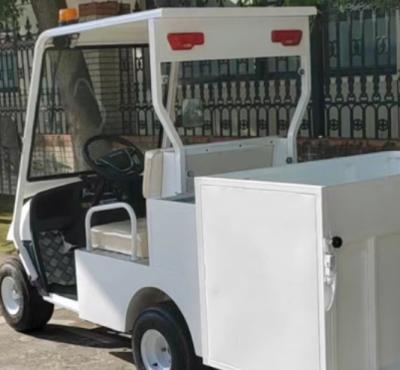 China Petrol Golf Cart Compact Small Turning Radius Highly Maneuverable for sale