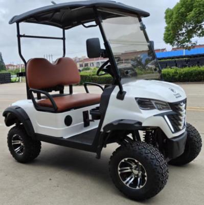 China Electric Four Wheel New Energy 2 Seater Off Road Lifted Golf Carts for sale