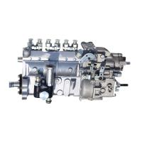 China High Pressure Diesel Injector Pump OE NO. 101062-9290 with 6 Months Warranty for Truck and Tractor Parts for sale
