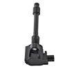 China Beru Denso Delphi Agent Factory Auto Car Ignition Coil for sale
