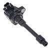 China Beru Denso Delphi Agent Factory Auto Car Ignition Coil for sale