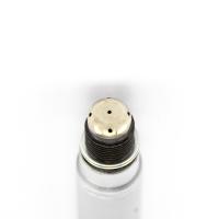 China MWM 12453572 NATURAL GAS Spark Plug 12453388 12453318 for MWM TCG2020 V12 V16 V2 for sale