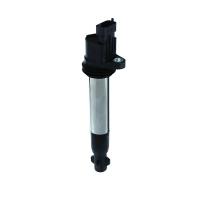 China Beru Denso Agent Auto Car Ignition Coil AT-2233 For Nova Kombi Lada 0221504473 for sale