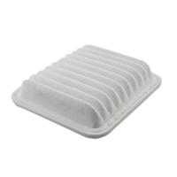 China Lexus GS (_S16_) 300 Car Air Purifier With HEPA And Carbon Filter 87139-48020 87139-48030 for sale