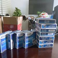 China 12453572 NGK Prechamber Spark Plug For MWM TCG2020 Gas Engine for sale