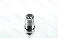 China Gas Generator Spark Plug R10P3 For GE Jenbacher P3 30002064 462199/462203/401824/639753/639754/347257 for sale