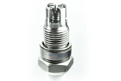 China Jenbacher J312GS J31 Engines Applicable Spark Plug P7 1233808 for sale