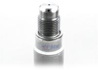 China Industry Spark Plug 12453572 For MWM GAS ENGINE TCG 2020 for sale