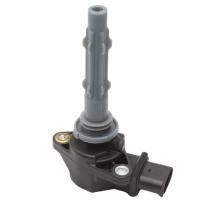 China HOLDEN 3.6 Single Ignition Coil High Silicon Steel Sheet Standard Size 100% Tested for sale