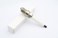China 51.25923-0062 / 51259230062 Spark Plugs for MAN E3262LE202 engine ignition parts for sale
