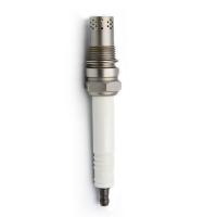 China Platinum And Iridium Generator Spark Plug R10P3 replaced for Jenbacher 462203 for 420 engines for sale