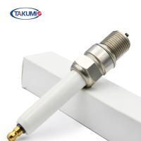China R5GL12-77 Pre-Chamber Spark Plug for MWM L1863B L1863DP L1863IP with Double Iridium Electrode for sale