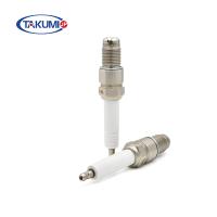China OEM China Supplier CHP Spark Plug for Biogas-Powered Generator for sale
