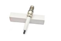 China OEM Quality Replacement Spark Plug for natural gas biogas CHP engines for sale