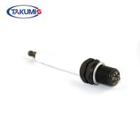 China Steam Engine Oe Auto Spark Plug With Iridium Firing Marine Engine for sale