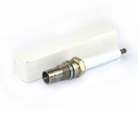 China Factory Direct Sale Industrial Spark Plug R10P3 For Jenhach-Er Engines for sale