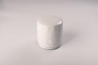China White Torch Engine Oil Filter Replacement TS 16949 Approved for sale