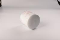 China White Torch Engine Oil Filter Replacement TS 16949 Approved for sale