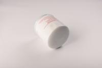 China White Torch Engine Oil Filter Replacement TS 16949 Approved for sale