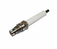 China OE Standard Quality Industrial Spark Plug R10P7 Torch Spark Plug Replacement for jenbacher for sale