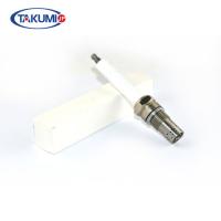 China Jenbacher 420 Generator R10P3 Industrial Spark Plug for sale