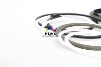 China High Quality Construction Machinery Parts Ze60E -1 Ze8Oe Ze84E Hydraulic Rubber Oil Seals for sale