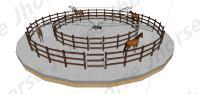 China 4-10 Horses Horse Exerciser for Middle East Market Simple Operation Automated Training for sale