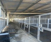 China Economical HDPE Anti-corrosion Portable Wire Netting Galvanized Temporary Horse Boxes Australia for sale