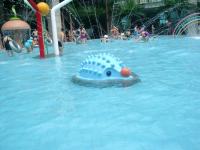 China Fiberglass Hedgehog Water Play Sprinkler Spray For Amusement Park for sale