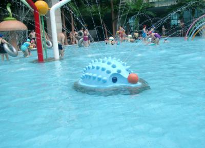 China Splash Hedgepig Kids Water Playground Equipment Spray Park Fiberglass for sale