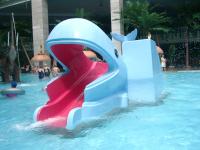 China Outside Kids Water Playground Adorable Cartoon Shape Whales Slides for sale