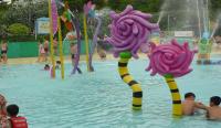 China Children Water Playground Croal Flower Aqua Park Equipment Water Pool Toys Lotus Seedpod Spray for sale
