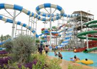 China Customized Size Adults Whizzard Swimming Pool Water Slides for sale