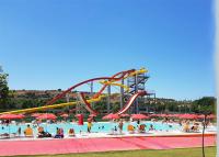 China Kids / Adult Family Water Slide , Fiberglass Pool Outside Water Slides for sale