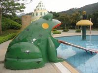 China Frog Water Slide Kids Water Playground Equipment For Swimming Pool for sale
