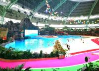 China Commercial Artificial Water Amusement park Wave Pool Air Blowing Wave Machine for sale