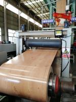 China Zinc Coated Prepainted Galvanized Steel Coil Q345 2mm Wood PPGI Color for sale