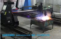 China SNR CNC Gantry Plasma Profile Cutter 1000W Cnc Profiling Machine for sale