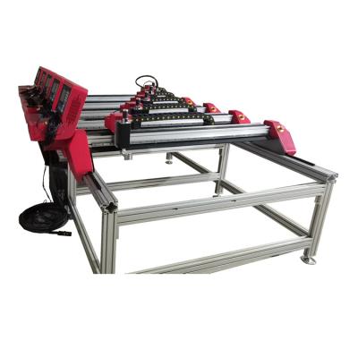 China CNC Plasma Cutting Table 1000x2000mm with Auto Torch Height Control 220V for sale